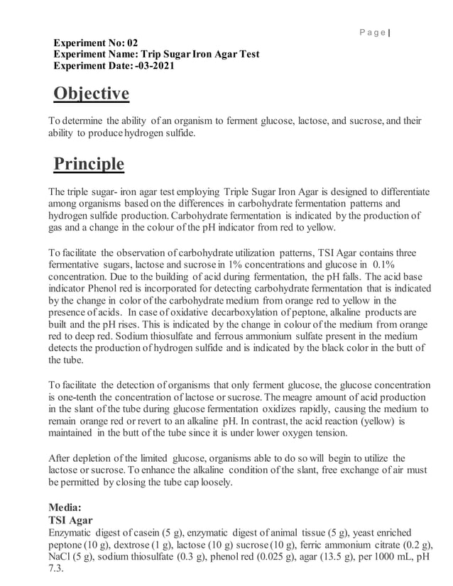 Carbohydrate Fermentation, Tripe Sugar Iron Agar Test, IMViC Test Part ...