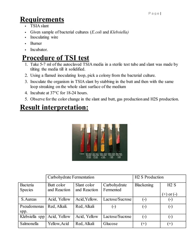Carbohydrate Fermentation, Tripe Sugar Iron Agar Test, IMViC Test Part ...
