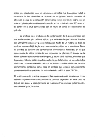 practica almidón | DOCX