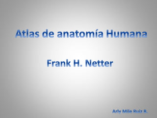 Practica anatomia | PPT