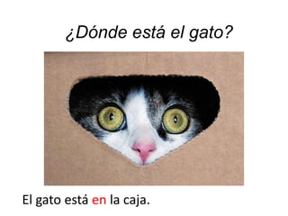 Práctica con las preposiciones | PPTX