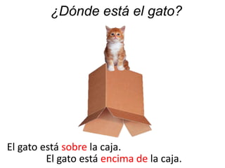 Práctica con las preposiciones | PPTX