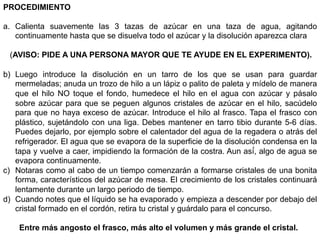Práctica cristal de azúcar | PDF
