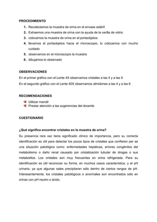 Practica de Bioquímica #4 EXAMEN MICROSCOPICO DE LA ORINA | DOCX
