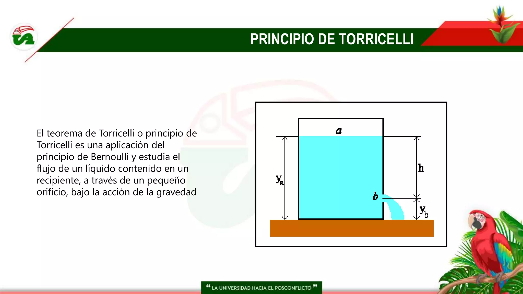 Practica del principio de torricelli | PPTX