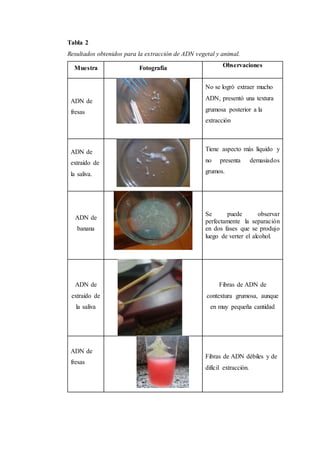 Extracción De Adn De Fresas