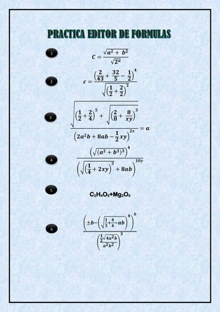 Practica editor de formulas | PDF