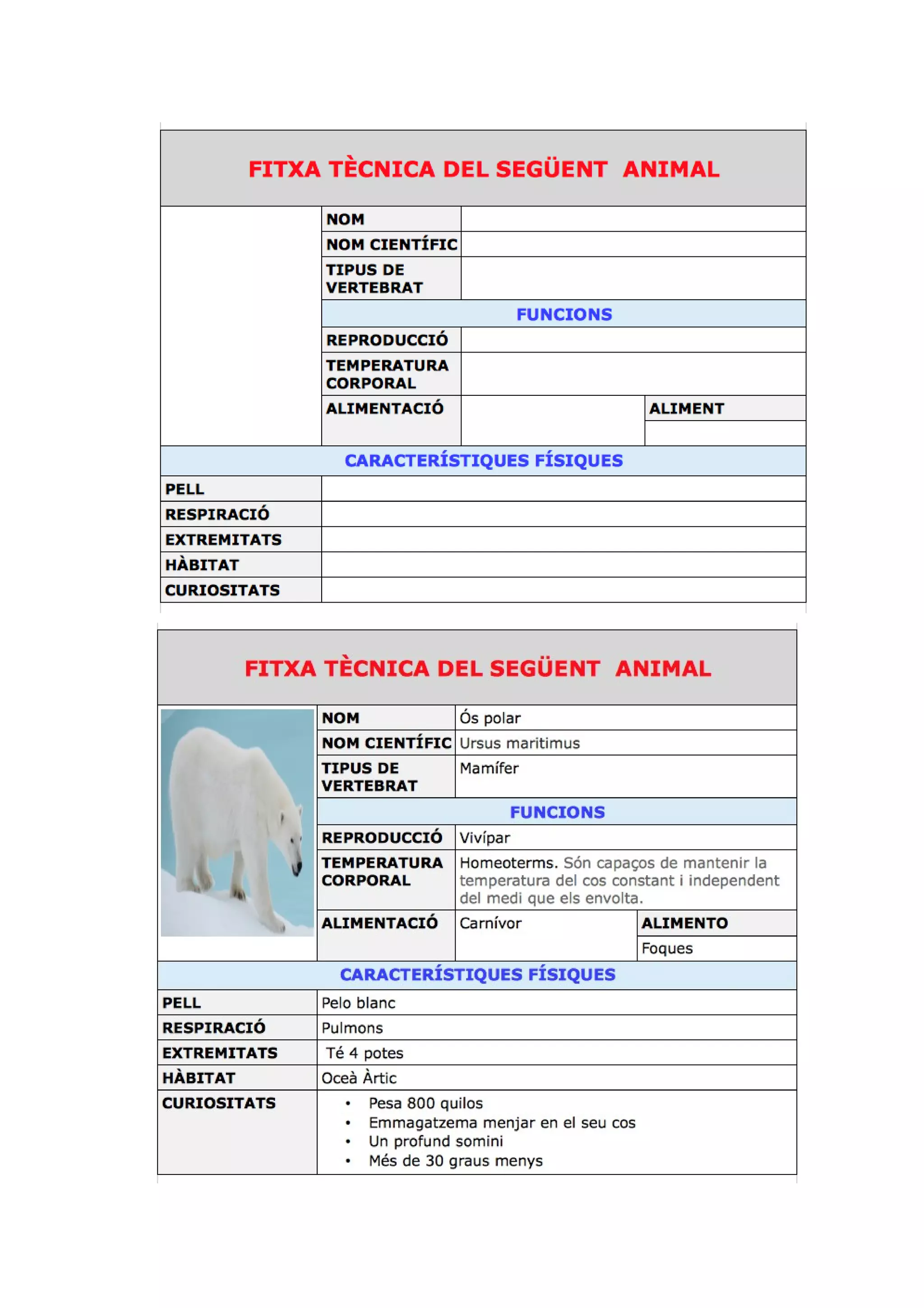 Pràctica fitxa tècnica d'un animal vertebrat | PDF