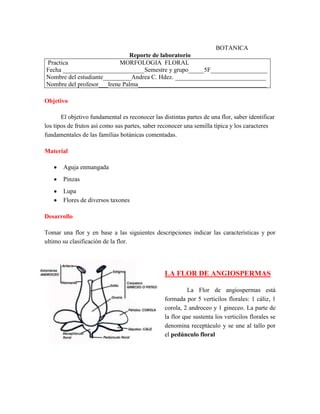 Partes de la flor | DOCX