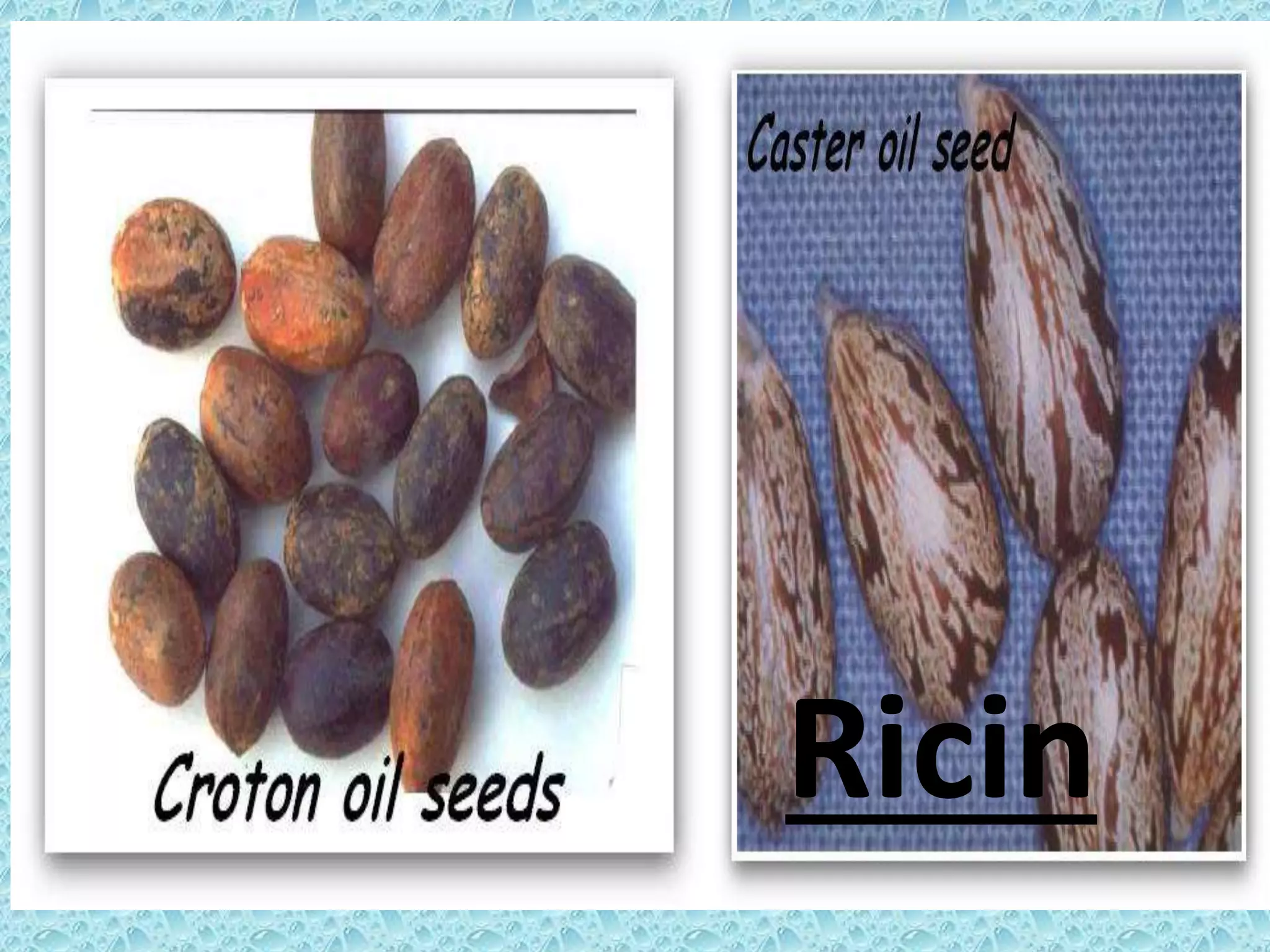 forensic and toxicology Practical | PPTX