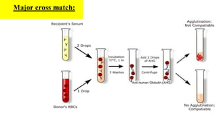 Practical 14 blood groups | PPTX