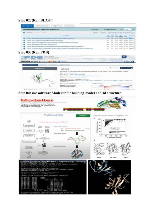 Proteomics Practical (NMR and Protein 3D software | PDF