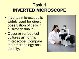 Practical 4 07 | PPT