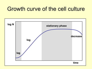 Practical 4 07 | PPT