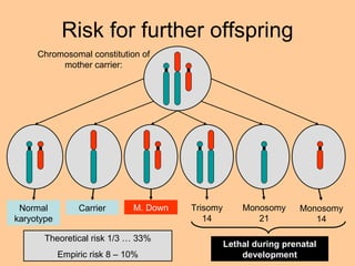 Practical 7 07 | PPT | Reproductive Health | Diseases and Conditions