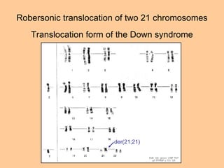 Practical 7 07 | PPT | Reproductive Health | Diseases and Conditions