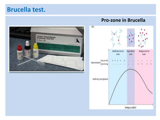 immunology laboratory medical students undegrauates | PPTX