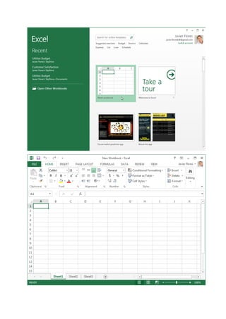 Microsoft Excel Basic Features | PDF