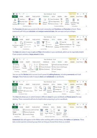 Microsoft Excel Basic Features | PDF