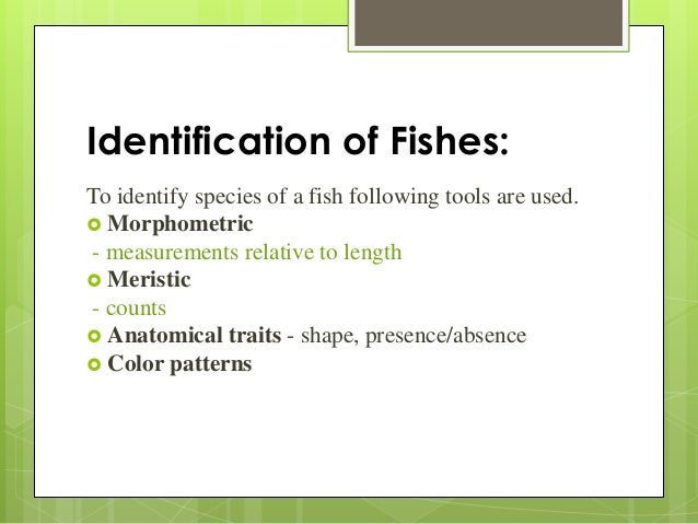 Identification of Fish Species