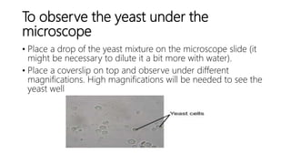 Study of specimens and identification with reason in lab. | PPTX