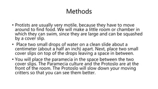 Study of specimens and identification with reason in lab. | PPTX