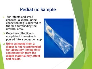practical 1.pptx