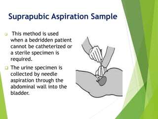 practical 1.pptx