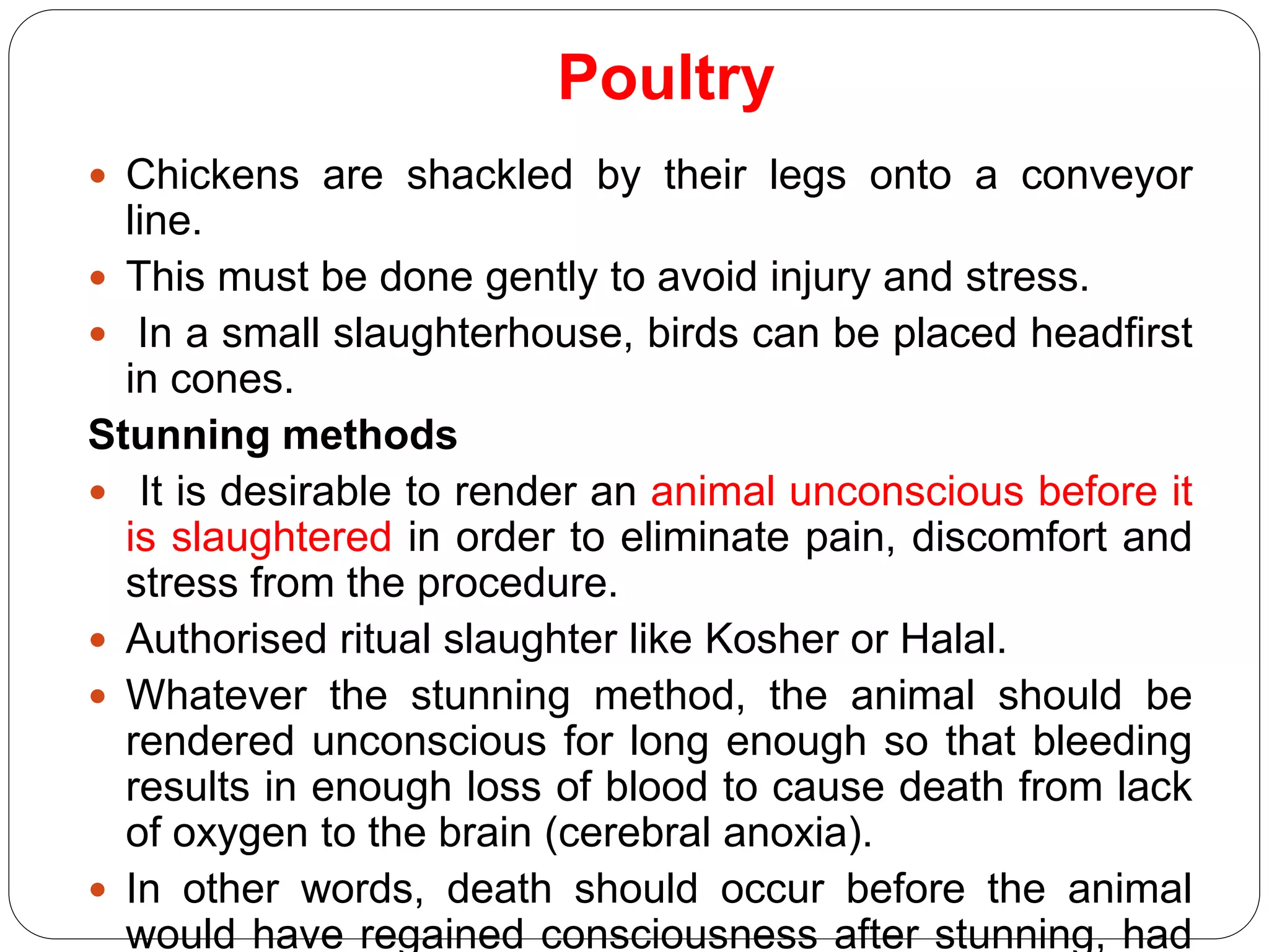 Pre slaughtering .pptx