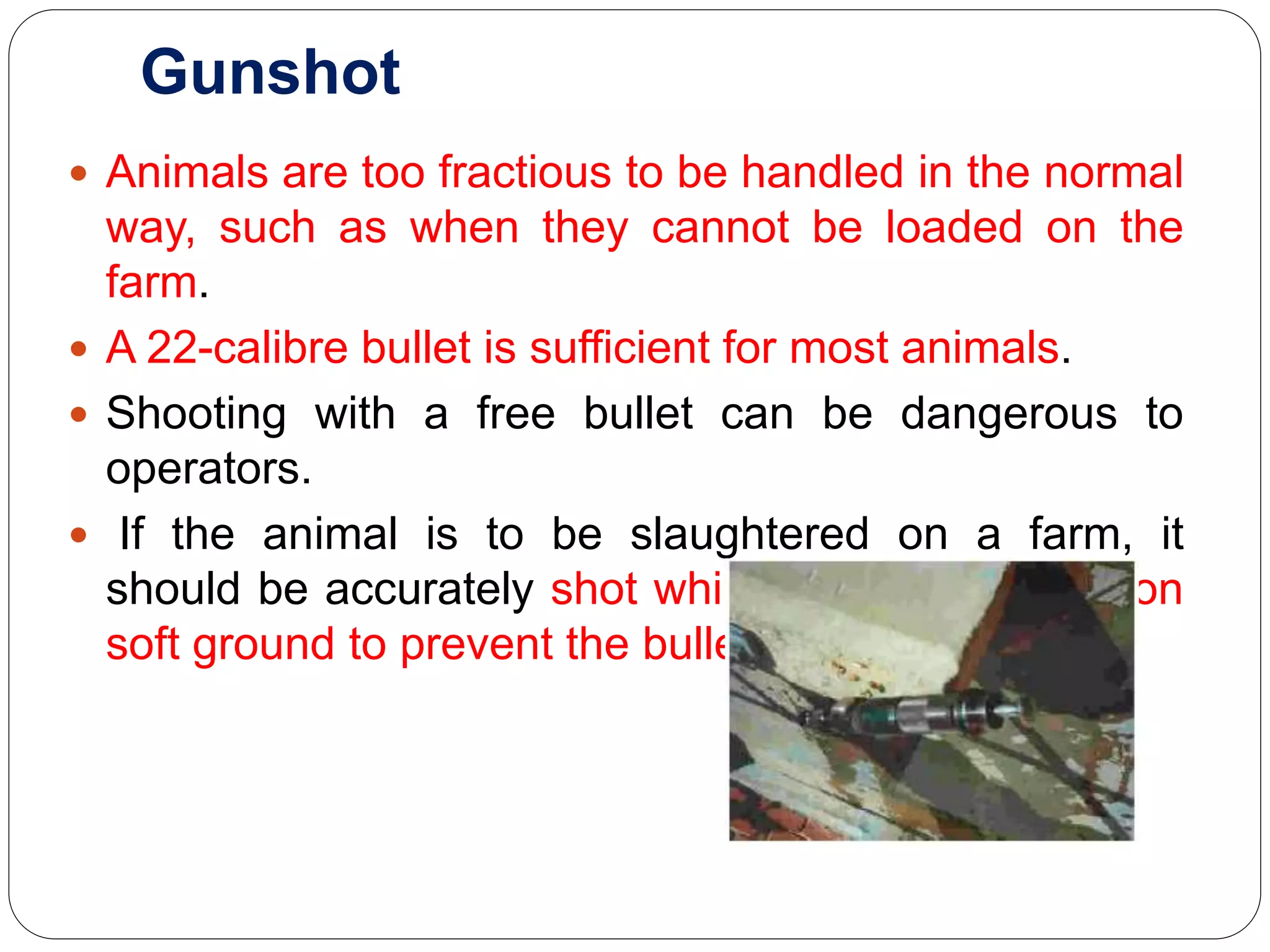 Pre slaughtering .pptx