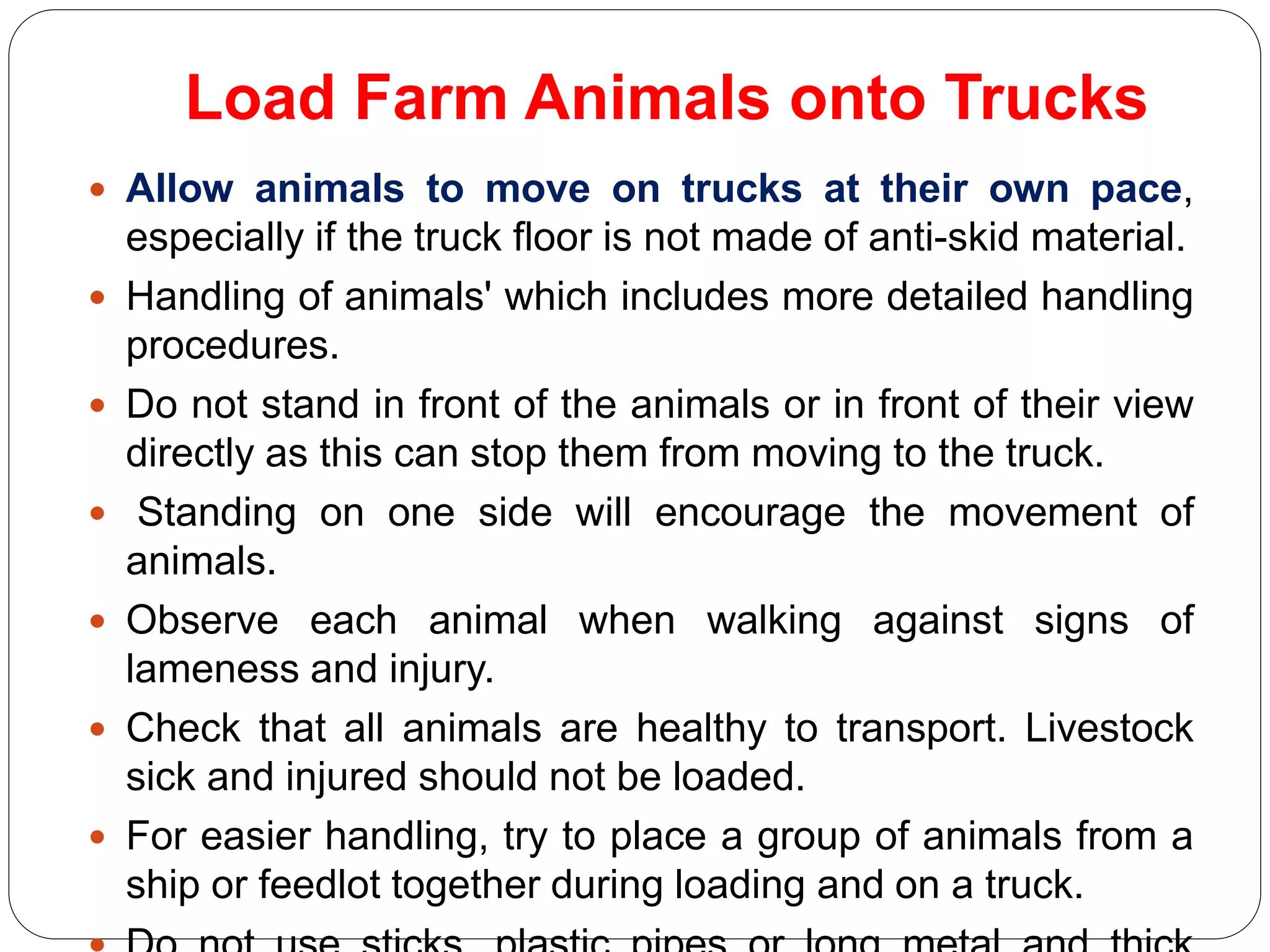 Pre slaughtering .pptx