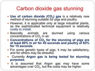 Pre slaughtering .pptx