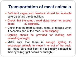 Pre slaughtering .pptx