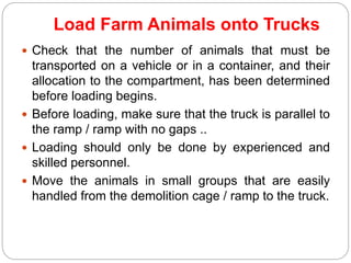 Pre slaughtering .pptx