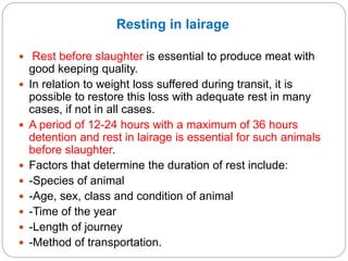 Pre slaughtering .pptx
