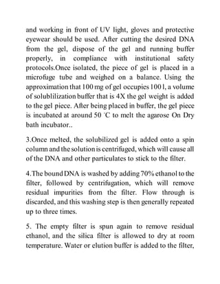 Elution of DNA fragments from agarose gel Practical | DOCX