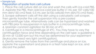 practical 10 western blotting for proteins .pptx