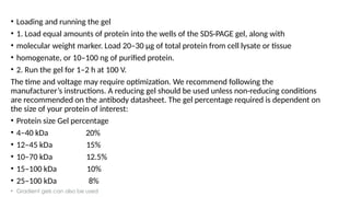 practical 10 western blotting for proteins .pptx