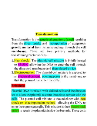 Preparatiion of competent cells & Transformation Practical | DOCX