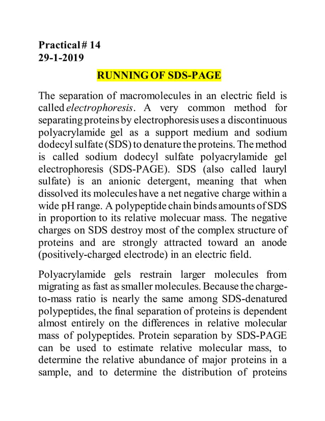 Running of SDS-PAGE Practical | PDF