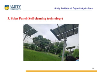 Organic Agriculture , Weed Management System | PPT