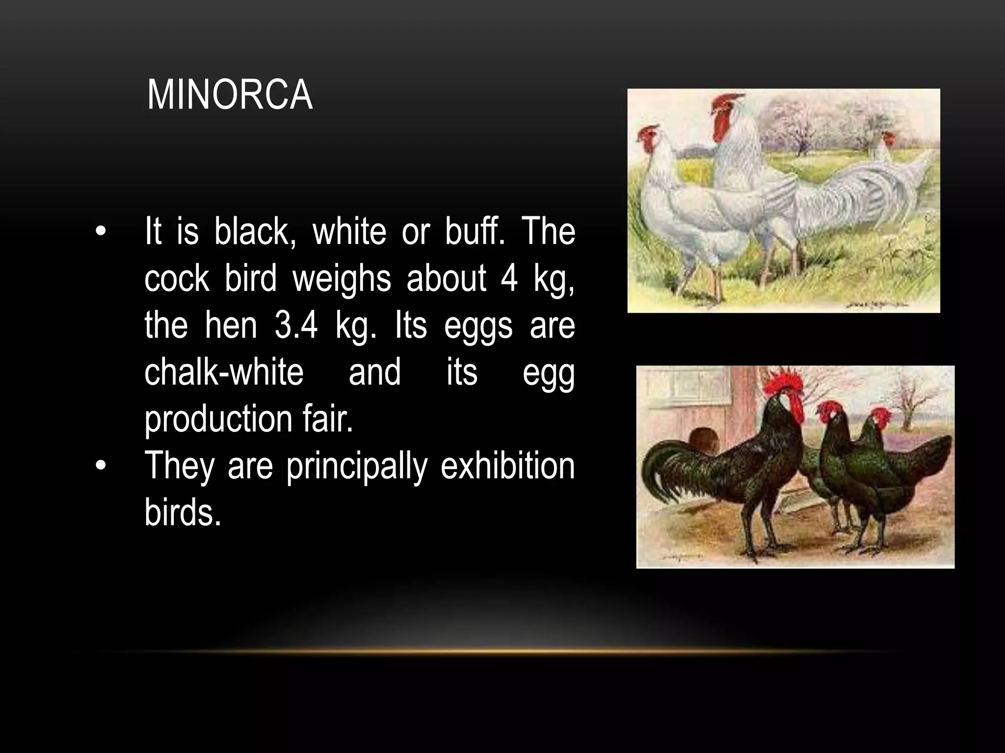 Practical 1 identification breeds of poultry | PPTX