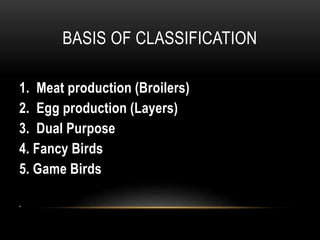 Practical 1 identification breeds of poultry | PPTX