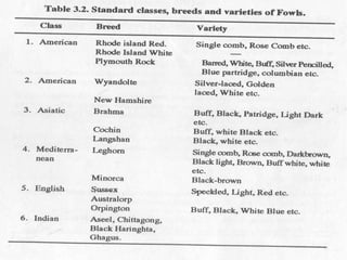 Practical 1 identification breeds of poultry | PPTX