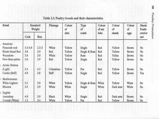 Practical 1 identification breeds of poultry | PPTX