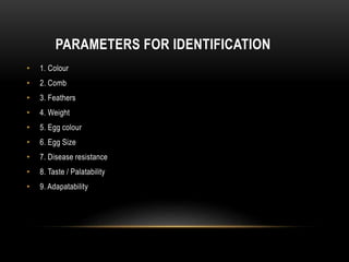 Practical 1 identification breeds of poultry | PPTX