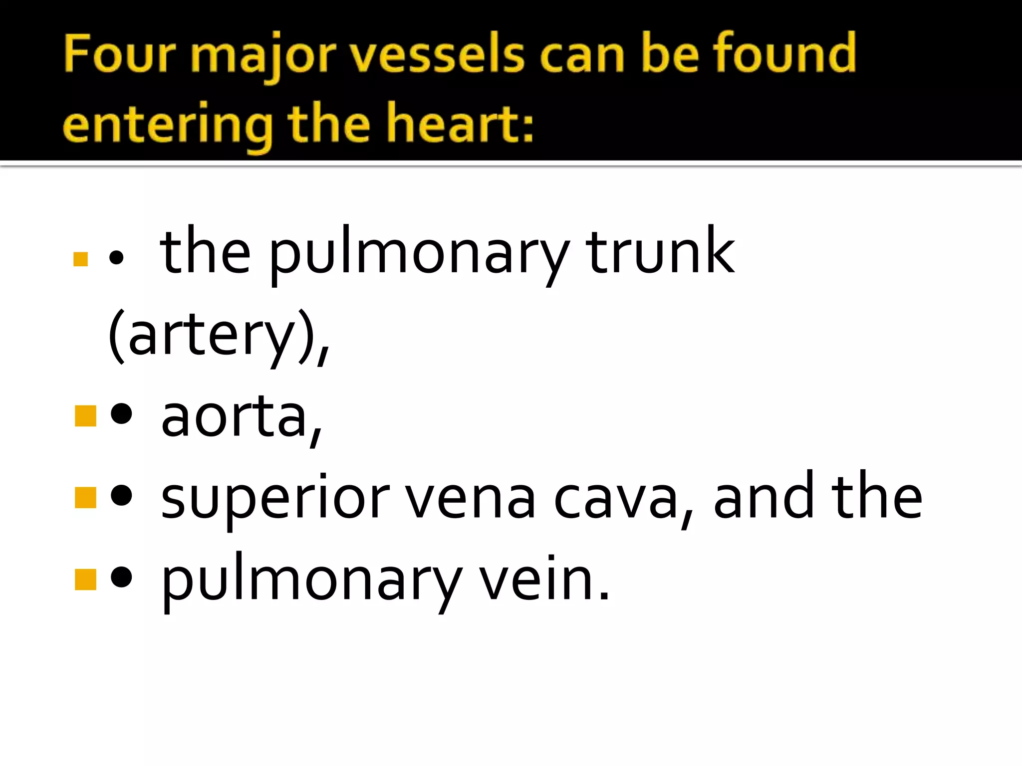 Practical 1 pig heart dissection | PPTX