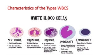 Practical 1 To Determine Differential Leukocytes Count DLC.pptx