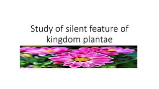 study of silent feature of kingdom plantae | PPTX