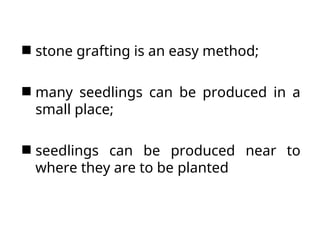 Practical Class for L2S1_2_ Stone grafting.ppt